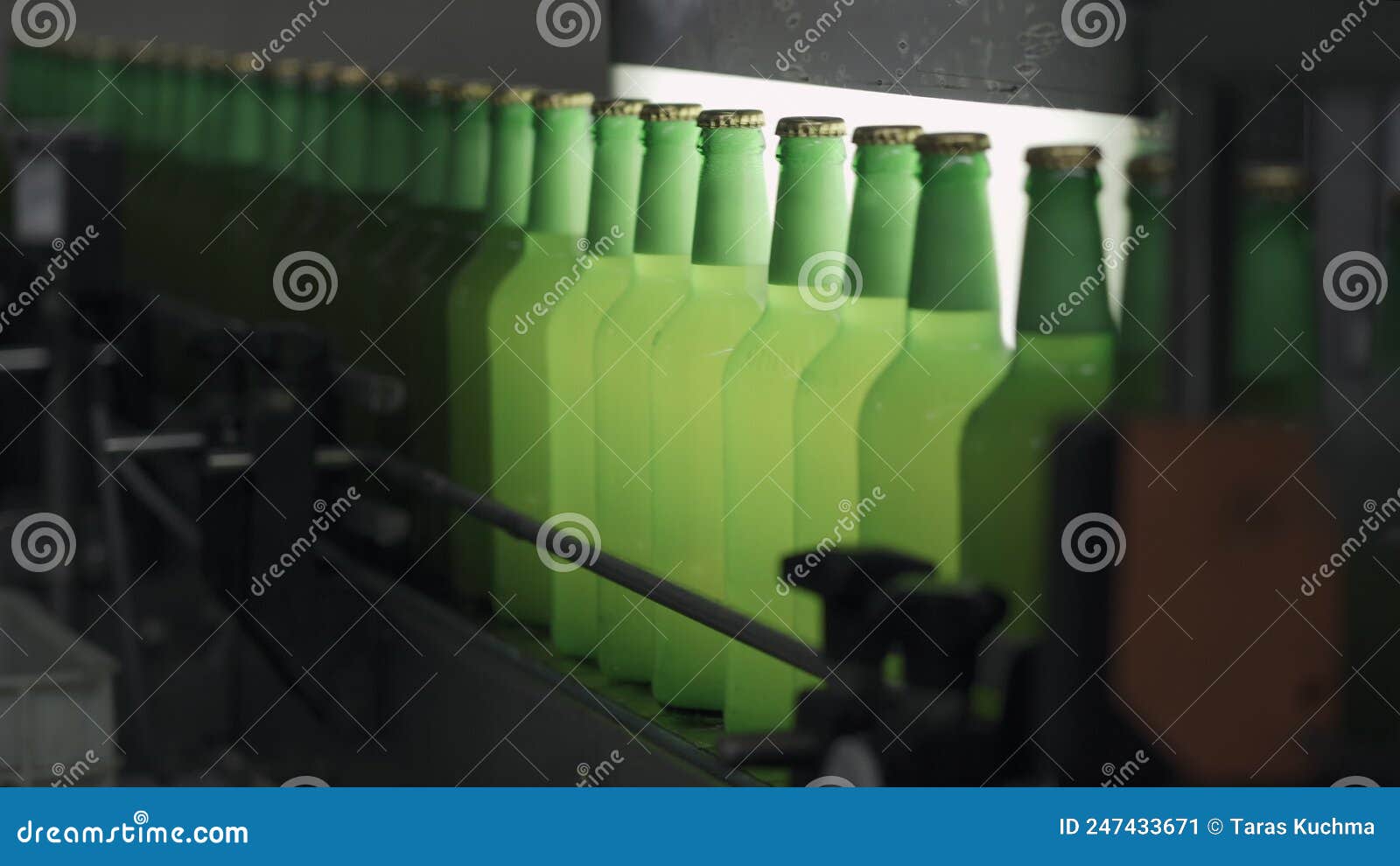 Technological Line for Bottling Beer. Quality Control of Beer Bottling ...