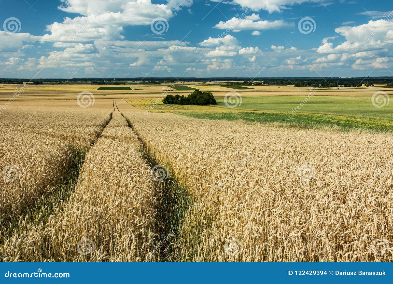 Wheel Tracks in the Field, Horizon and Clouds in the Sky Stock Photo ...