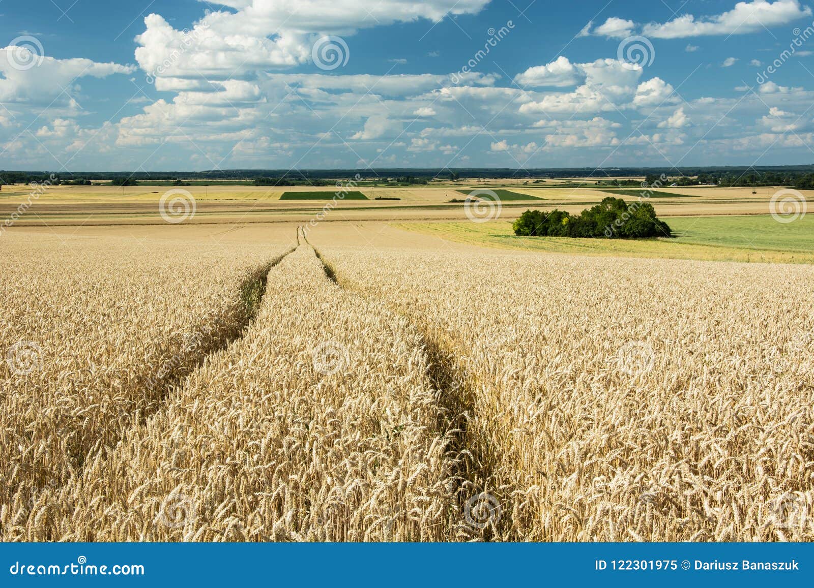 Technological Path in the Field Stock Image - Image of clouds, path ...