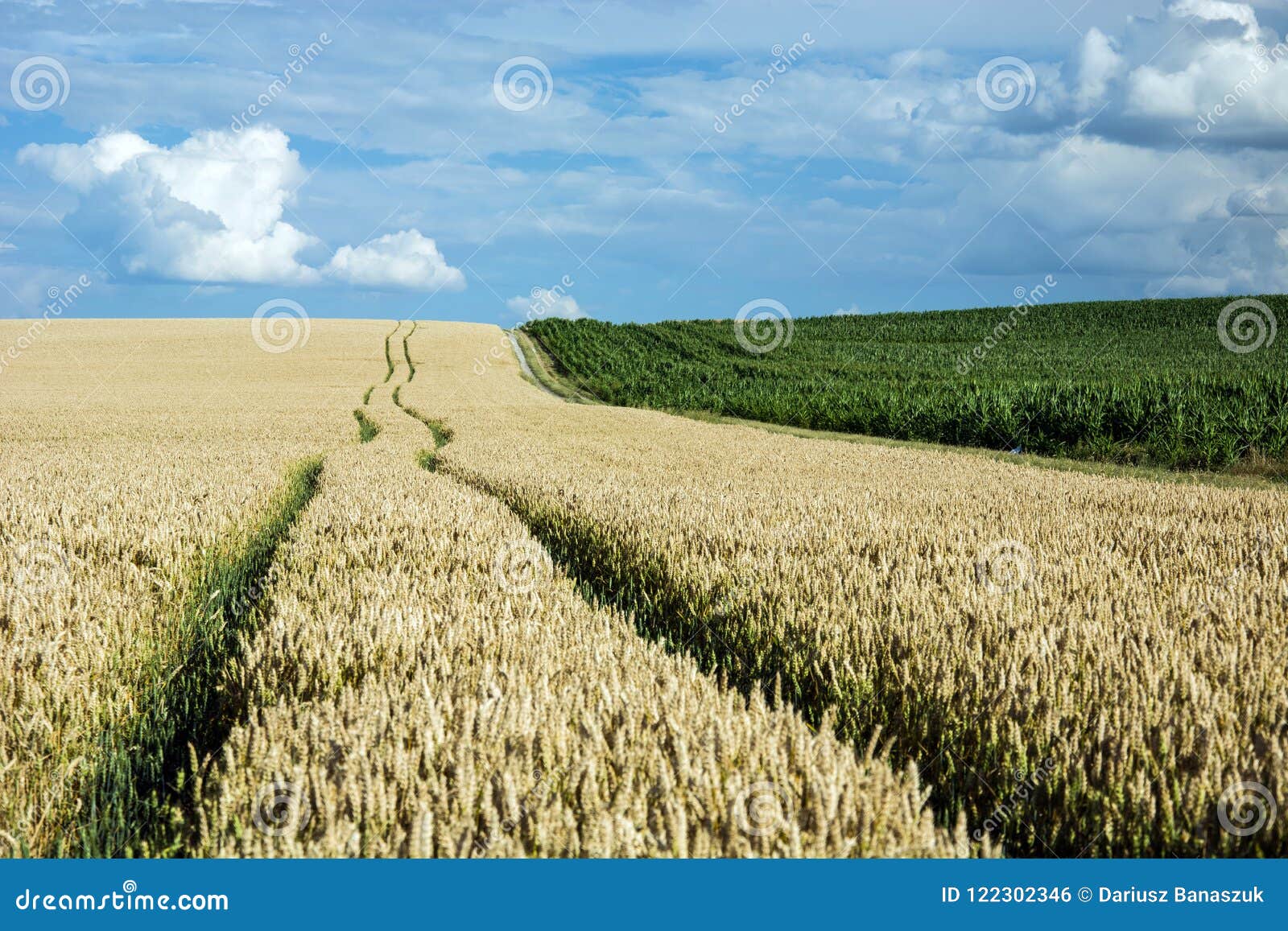 Technological Path To the Field Stock Photo - Image of cloudscape ...