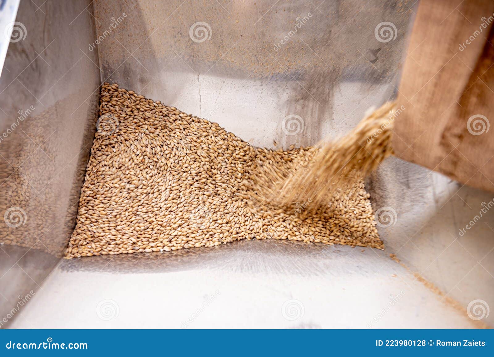 The Technological Process of Grinding Malt Seeds at the Mill Stock ...