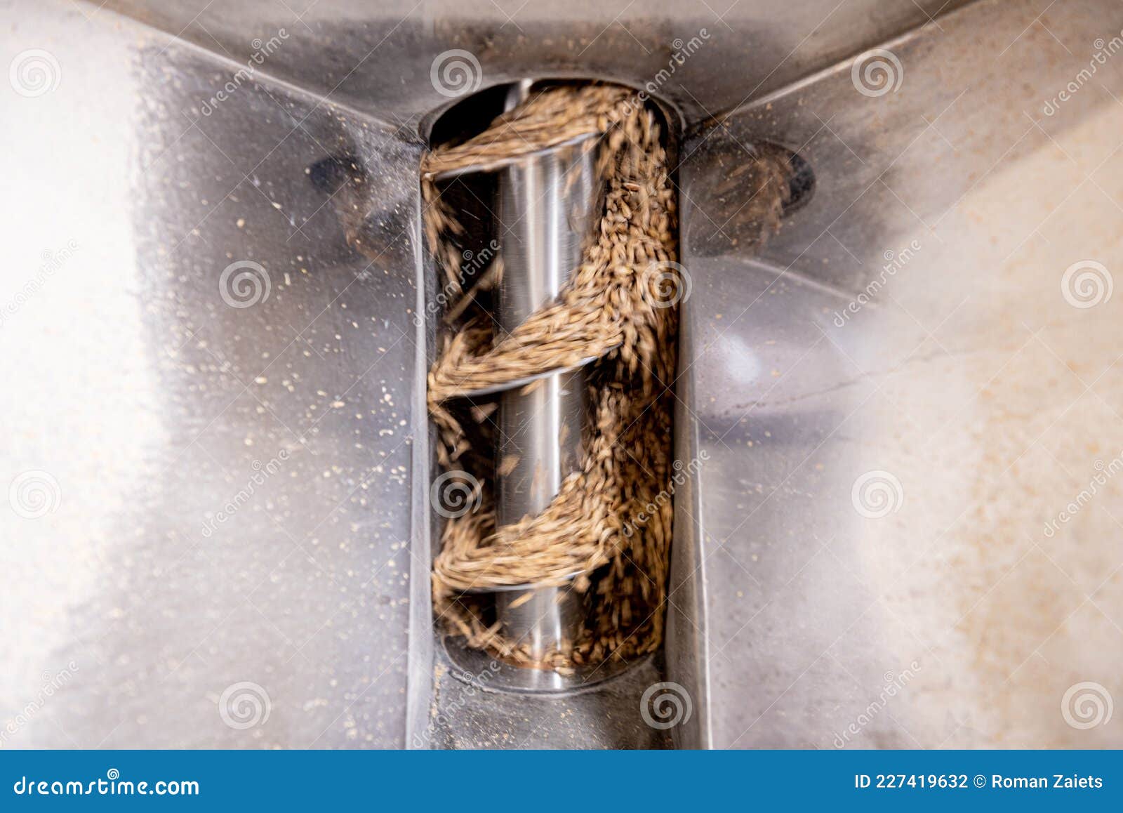 The Technological Process of Grinding Malt Seeds at the Mill Stock ...