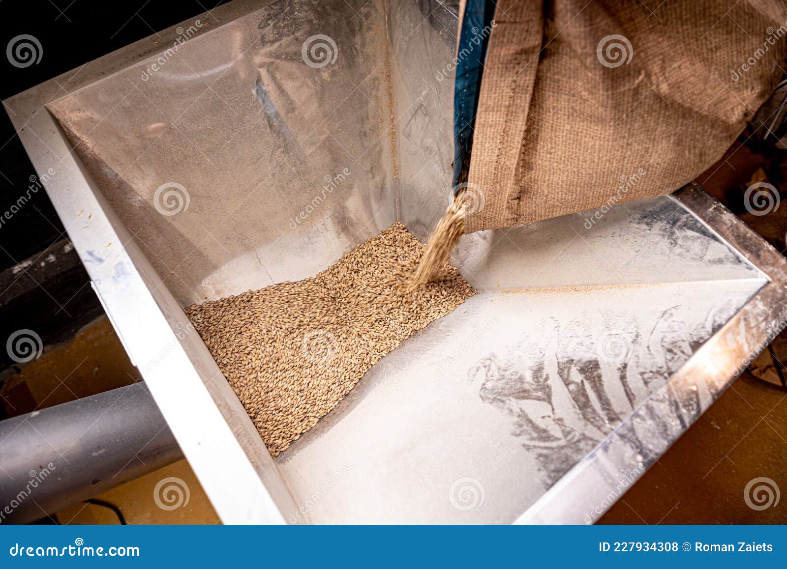 The Technological Process of Grinding Malt Seeds at the Mill Stock ...