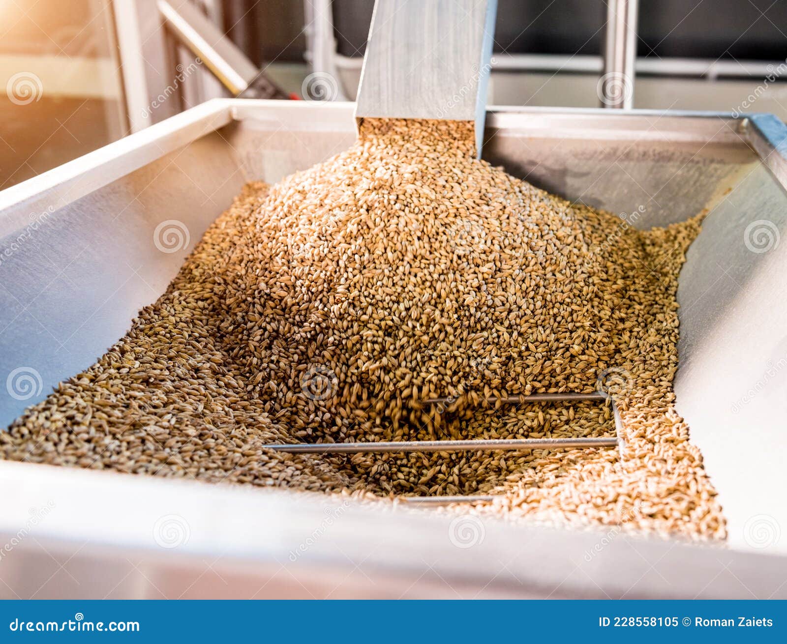 The Technological Process of Grinding Malt Seeds at the Mill Stock ...