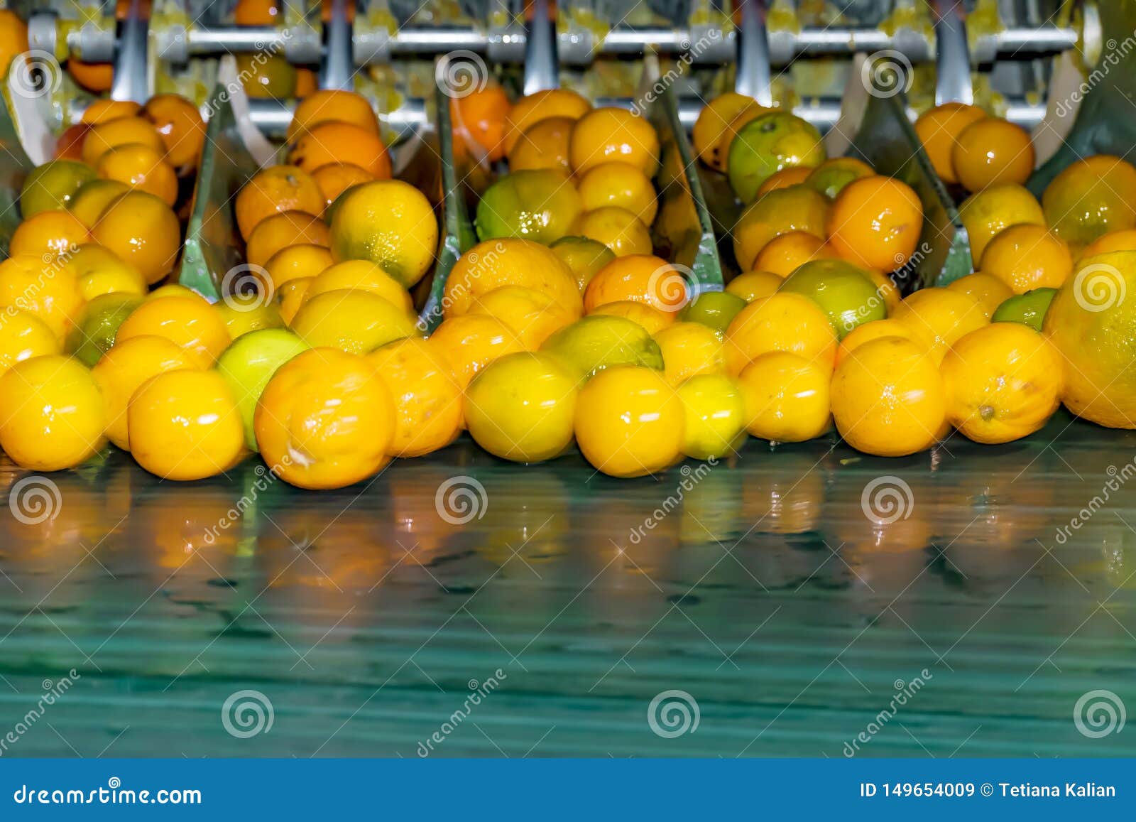 Technological Process at Orange Cannery or Plant. Automatic Fruit ...