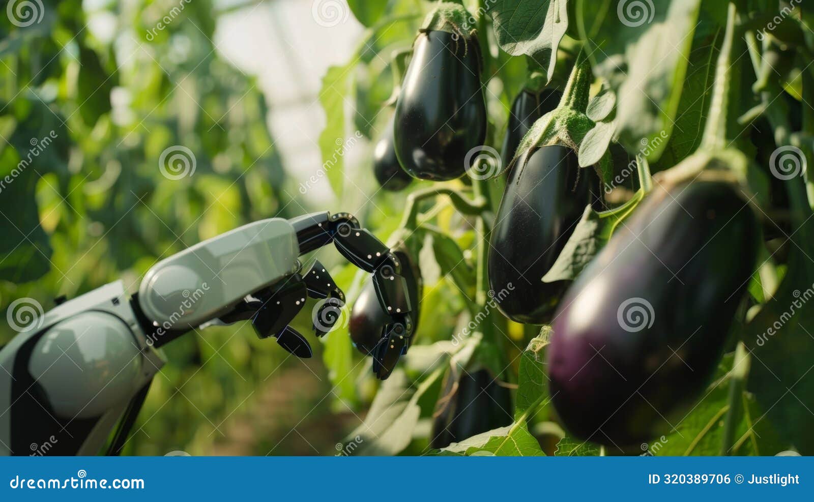 A Technologically Advanced Robot Scans and Harvests Perfectly Ripe ...
