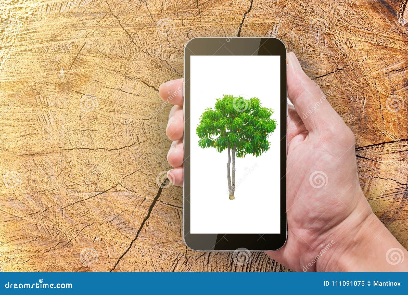 Technology against nature stock image. Image of annual - 111091075