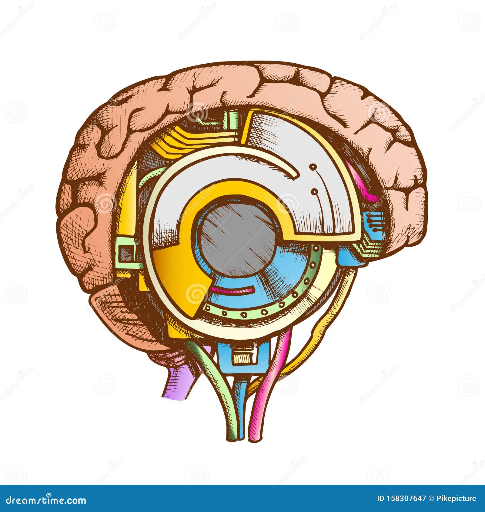 Technology Cyber Brain Side View Color Vector Stock Vector ...