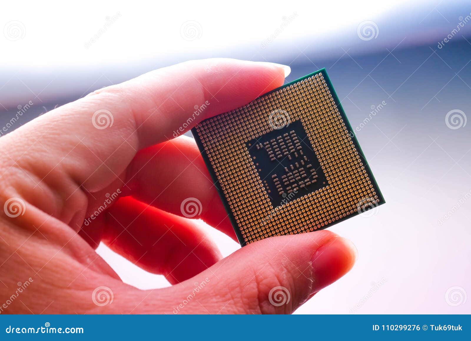 Technology Electronic Concept. Cpu Microprocessor Chip in Hand Stock ...
