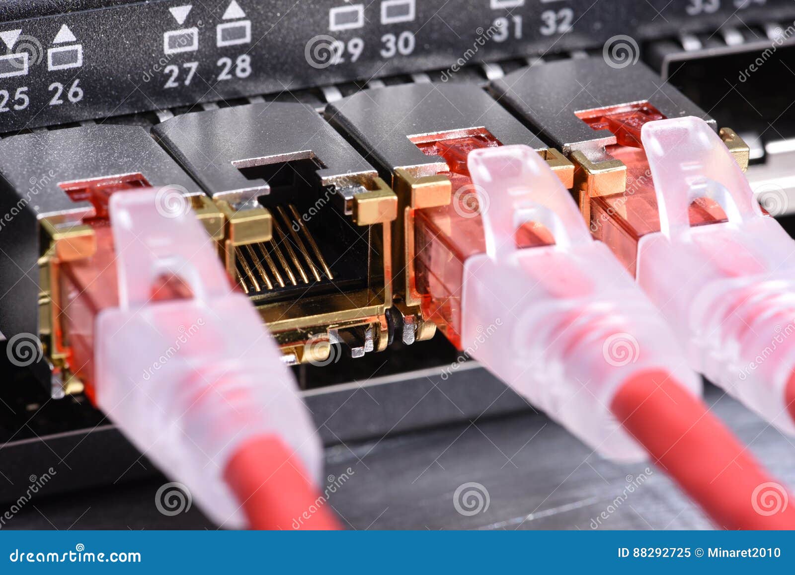 Technology Devices, Network Switch with Patch Cord Cables Stock Image ...