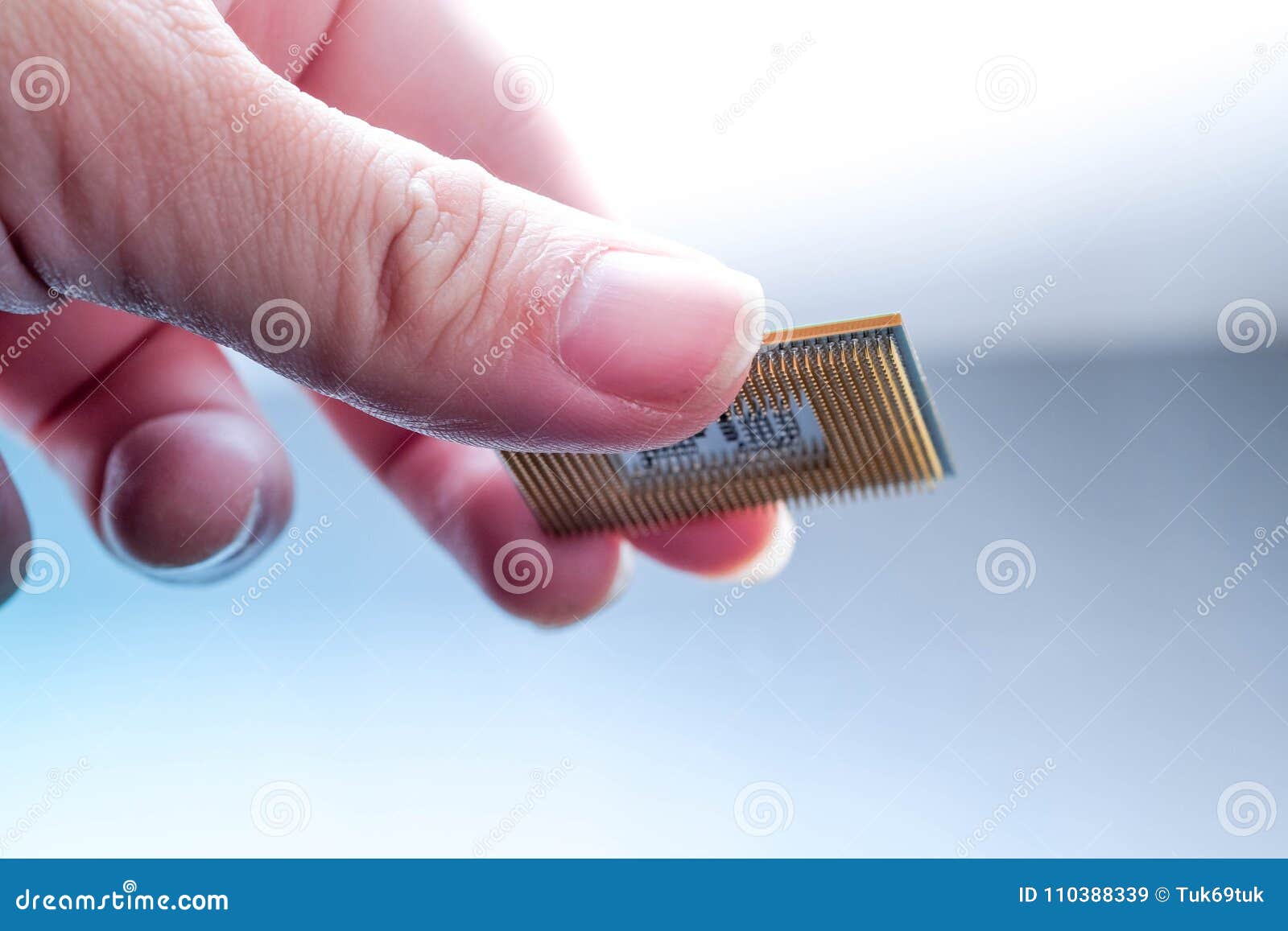 Technology Electronic Concept. Cpu Microprocessor Chip in Hand Stock ...