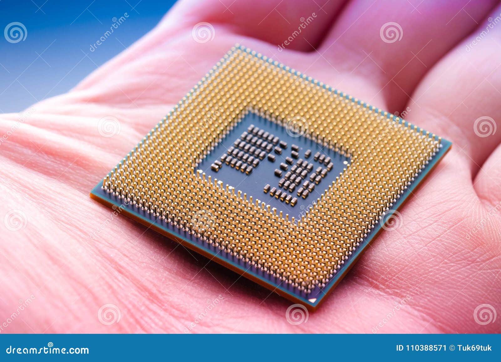 Technology Electronic Concept. Cpu Microprocessor Chip in Hand Stock ...