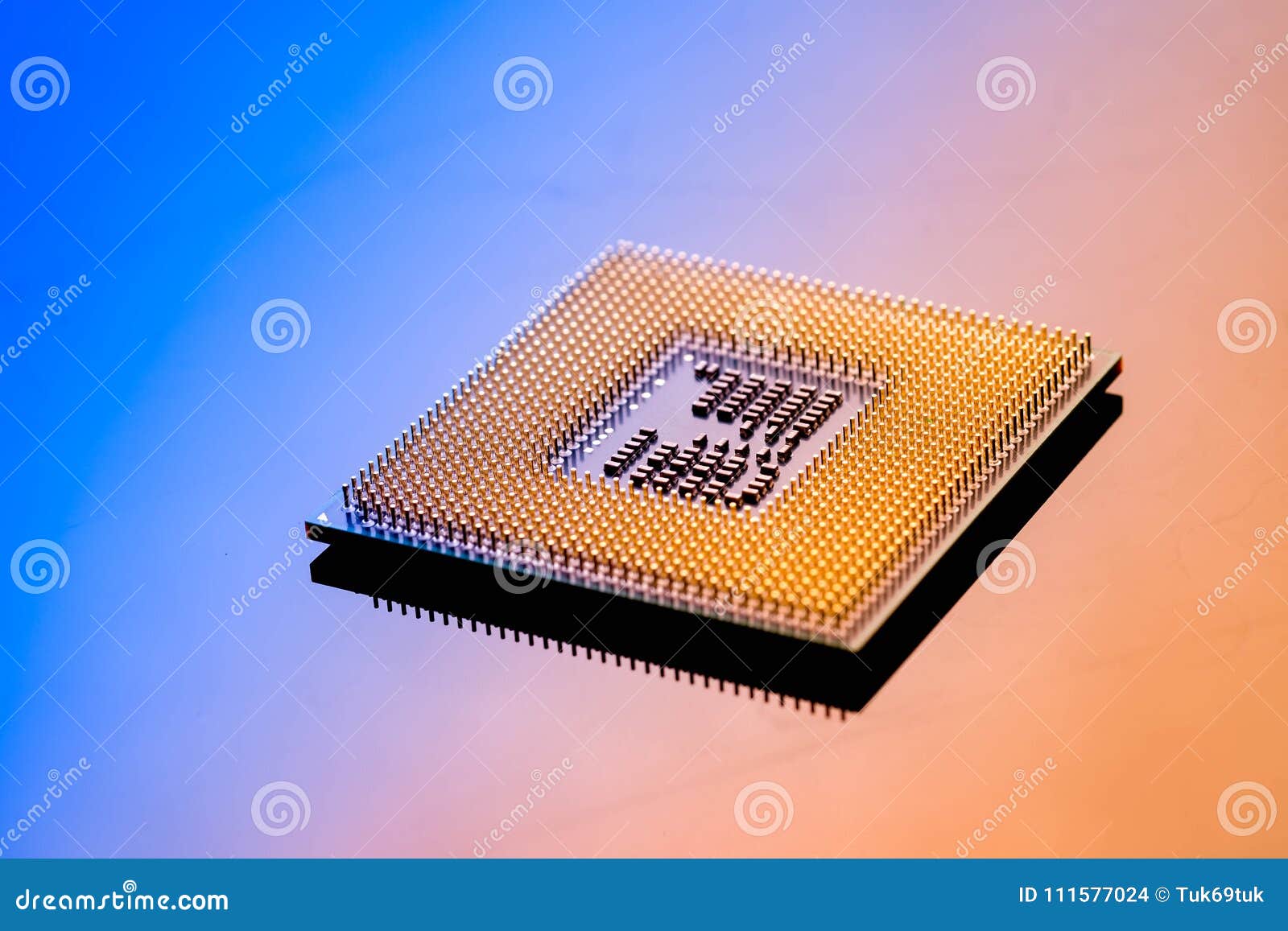 Technology Electronic Concept. Cpu Ram Computer on Blue Li Stock Photo ...