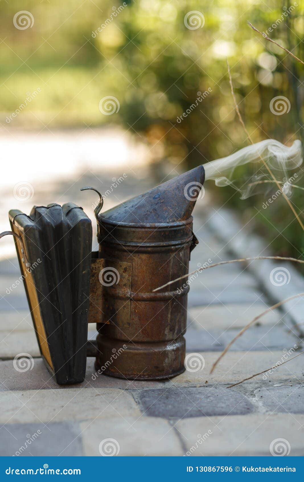 Technology of Fumigation of Bees. Intoxicating Smoke for Safe Honey ...