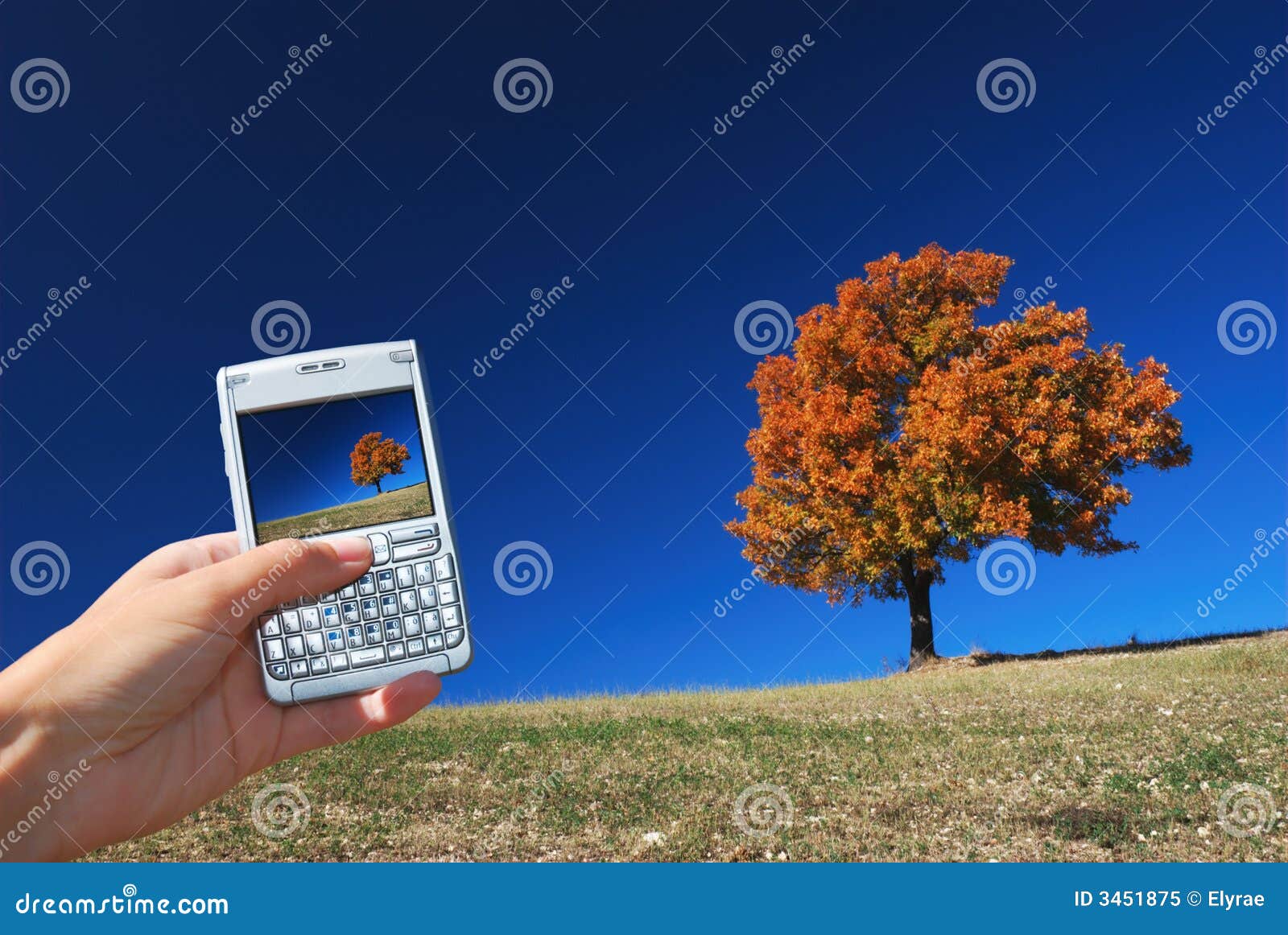 Technology and nature stock image. Image of fall, brown - 3451875