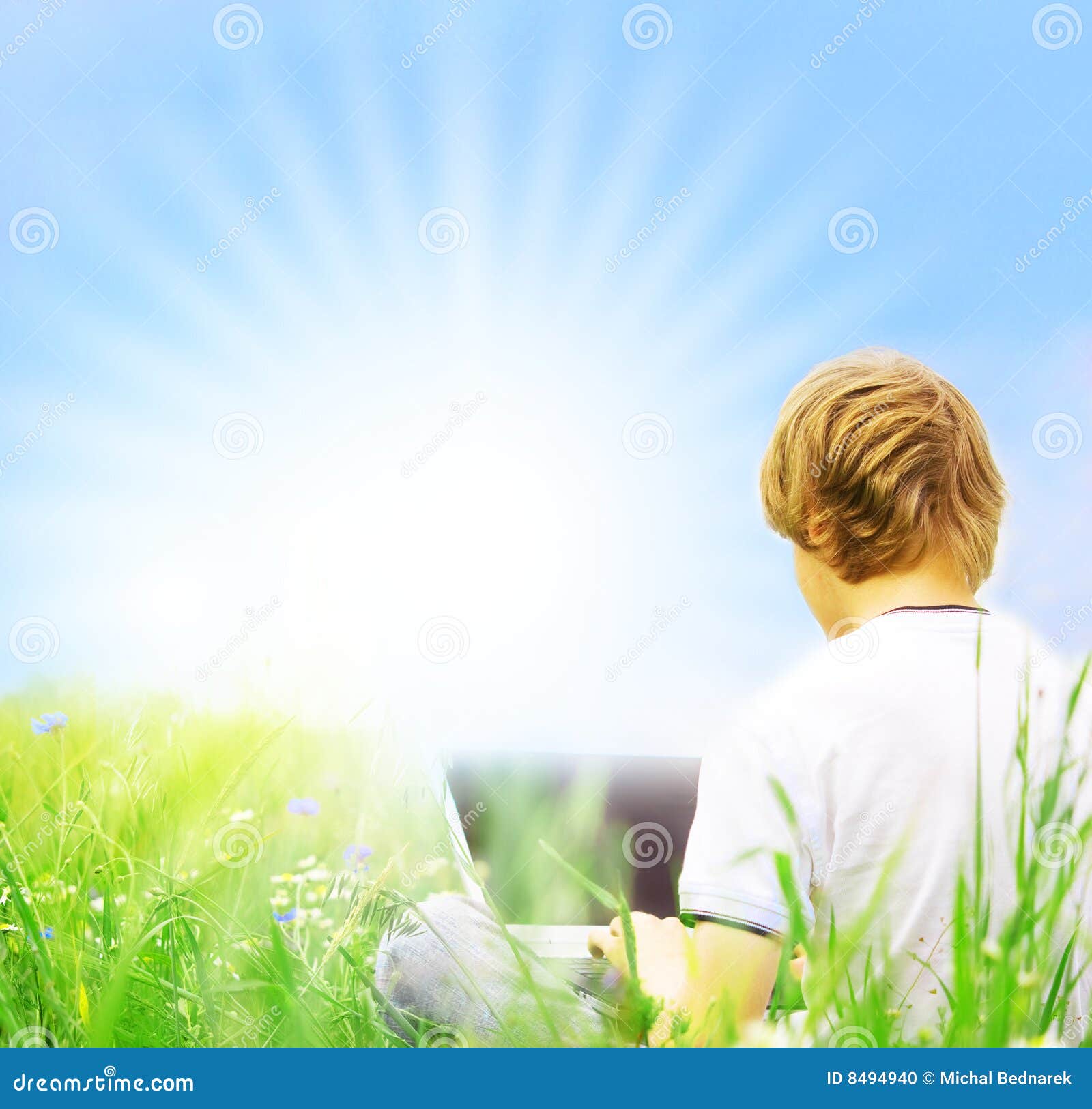 Technology in nature stock photo. Image of laptop, grass - 8494940
