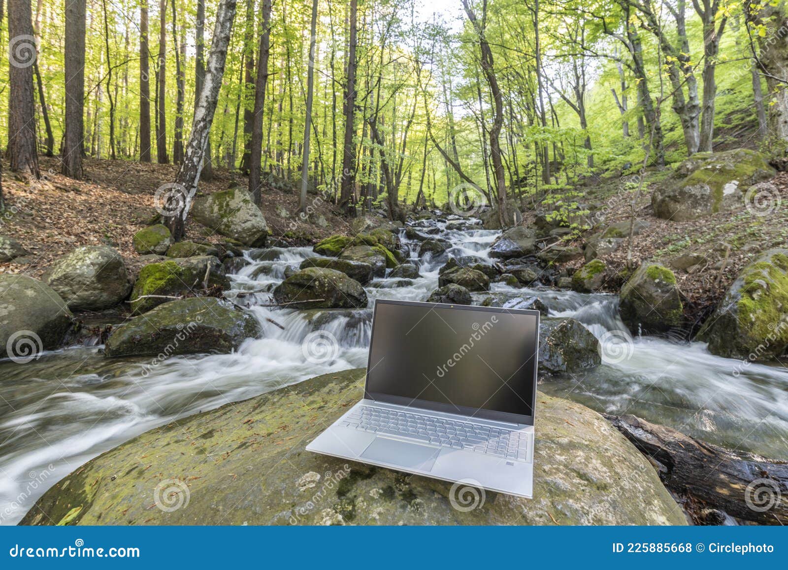 Technology in Nature Concept Image Stock Photo - Image of forest ...