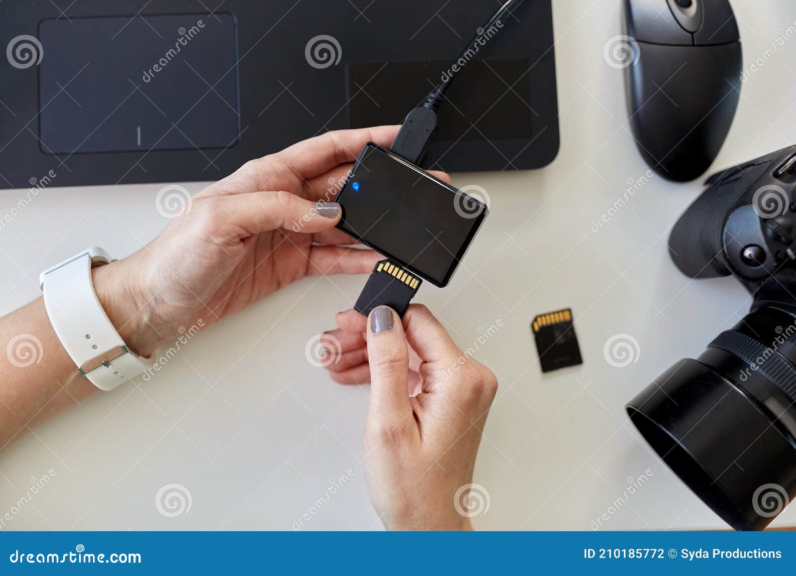 Hands with Sd Card Reader, Laptop and Camera Stock Photo - Image of ...