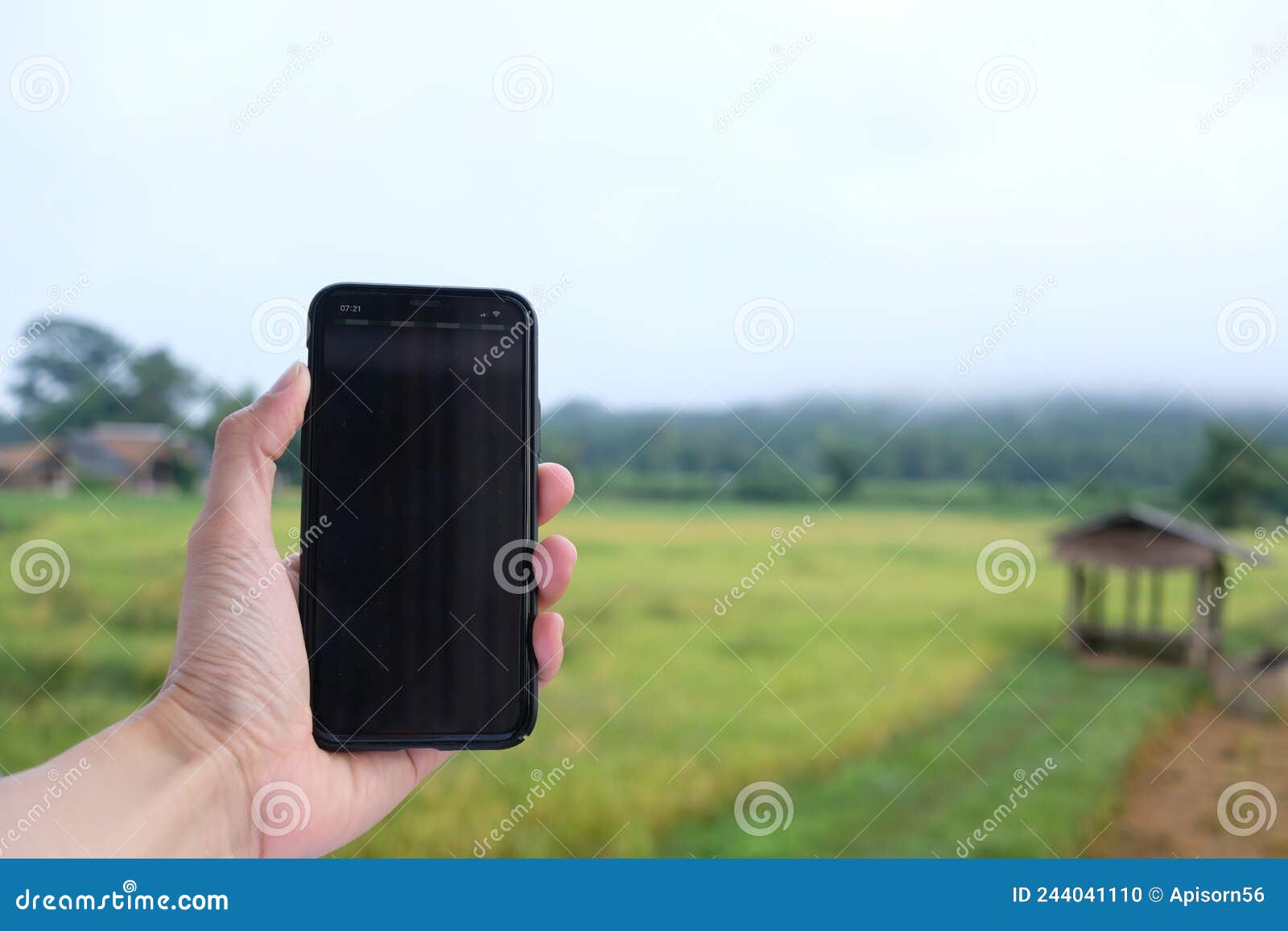 Hand Holding Smart Phone To Control Plantation and Agriculture about ...