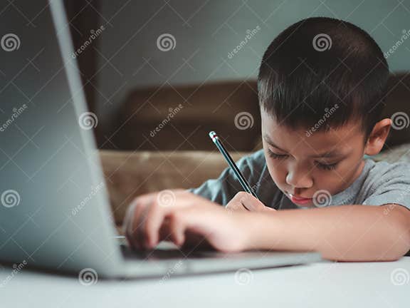 Technology Studying at Home Using Laptop Computer, Student Distance ...