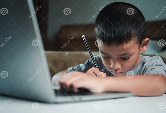 Technology Studying at Home Using Laptop Computer, Student Distance ...