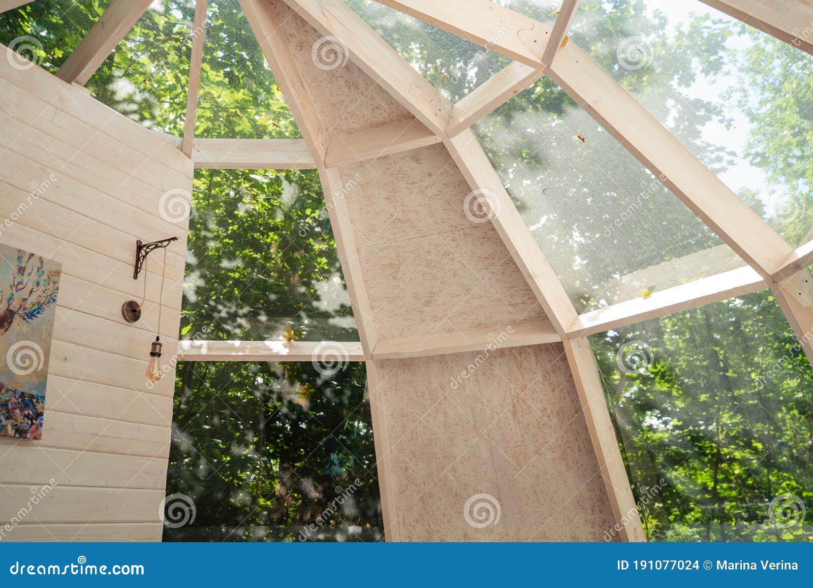 Techo Con Techo Transparente Que Domina El Bosque Foto de archivo ...