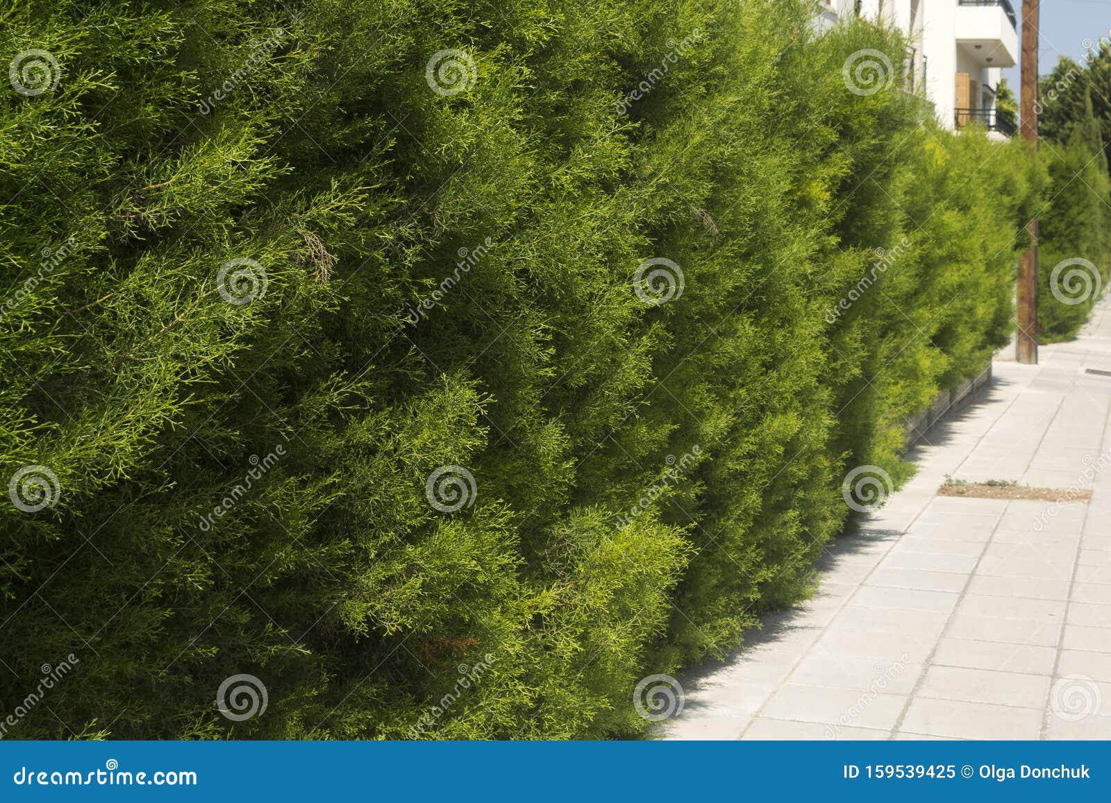 Techo De Cedro Cerca De La Acera De Piedra Imagen de archivo - Imagen ...