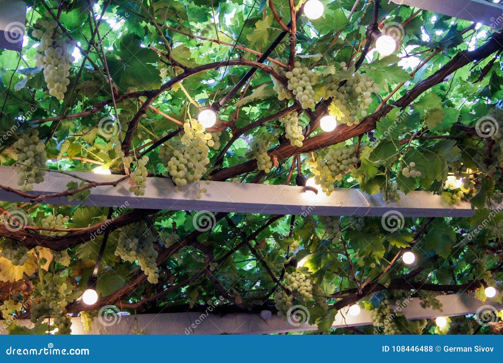 Techo Hecho De Las Uvas Naturales Foto de archivo - Imagen de techo ...