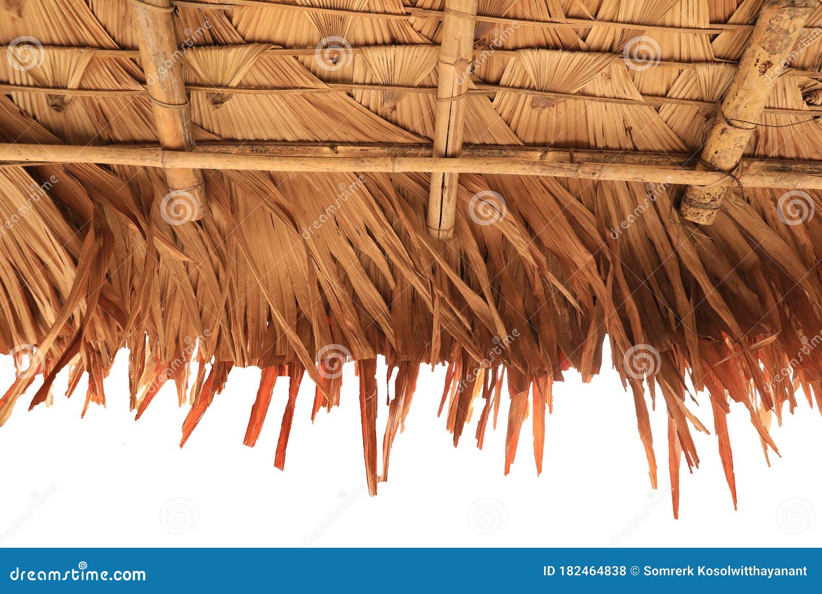 Techo Tradicional Hecho De Hojas De Palma Foto de archivo - Imagen de ...