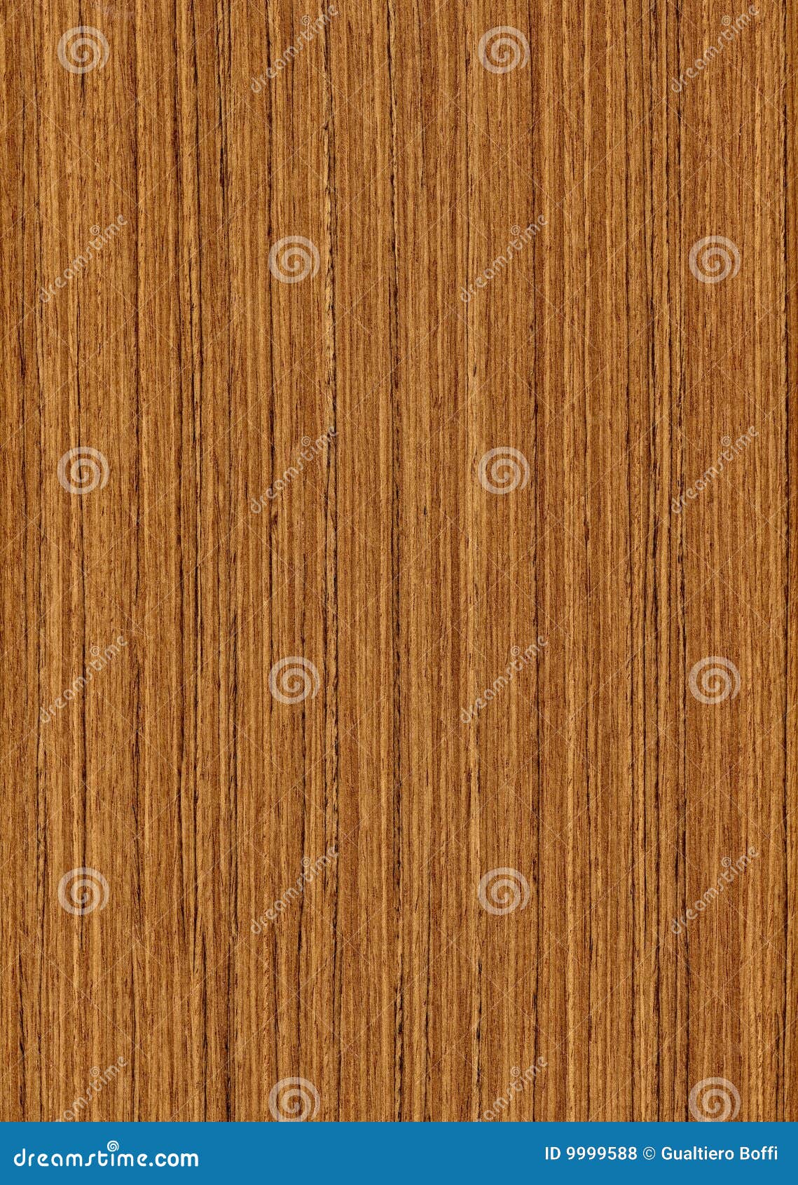 Teck en bois de texture photo stock. Image du lumière - 9999588