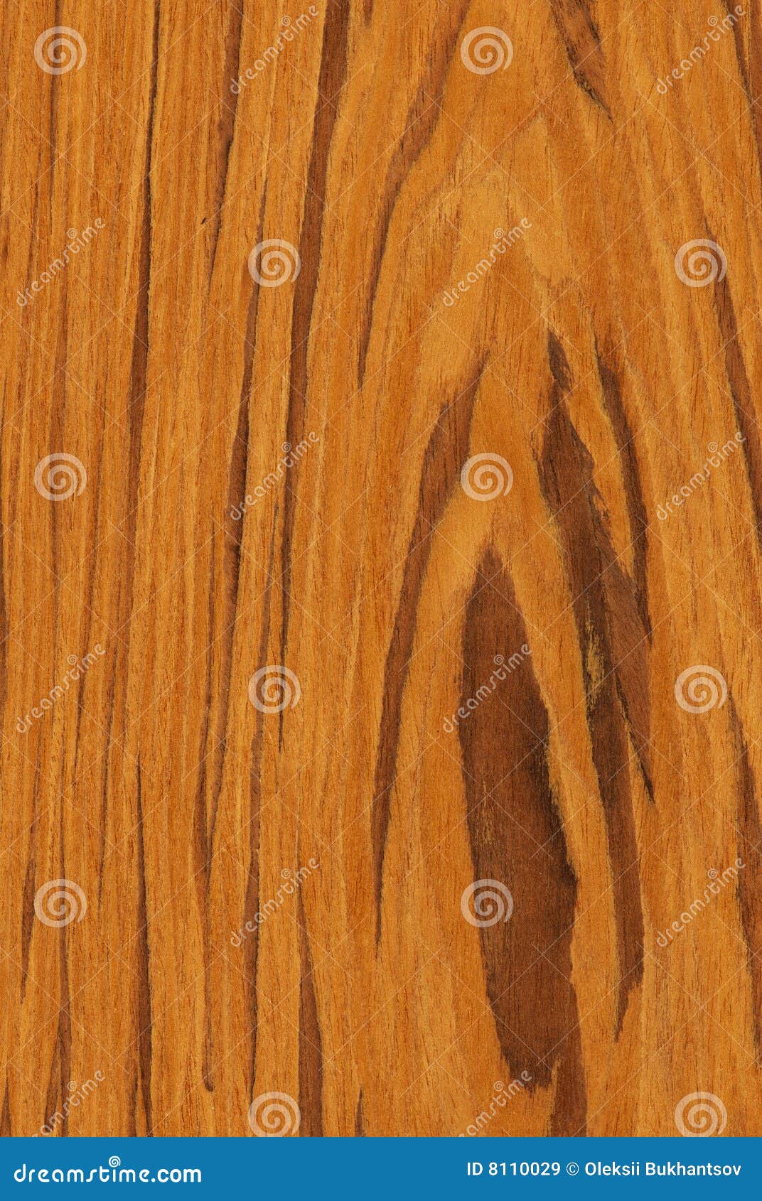 Teck (texture en bois) image stock. Image du placage, conception - 8110029