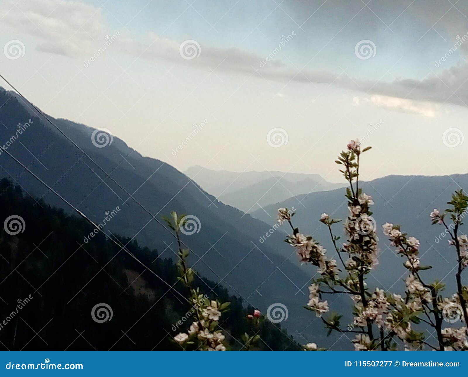 Tecleo de la naturaleza, imagen de archivo. Imagen de tecleo - 115507277