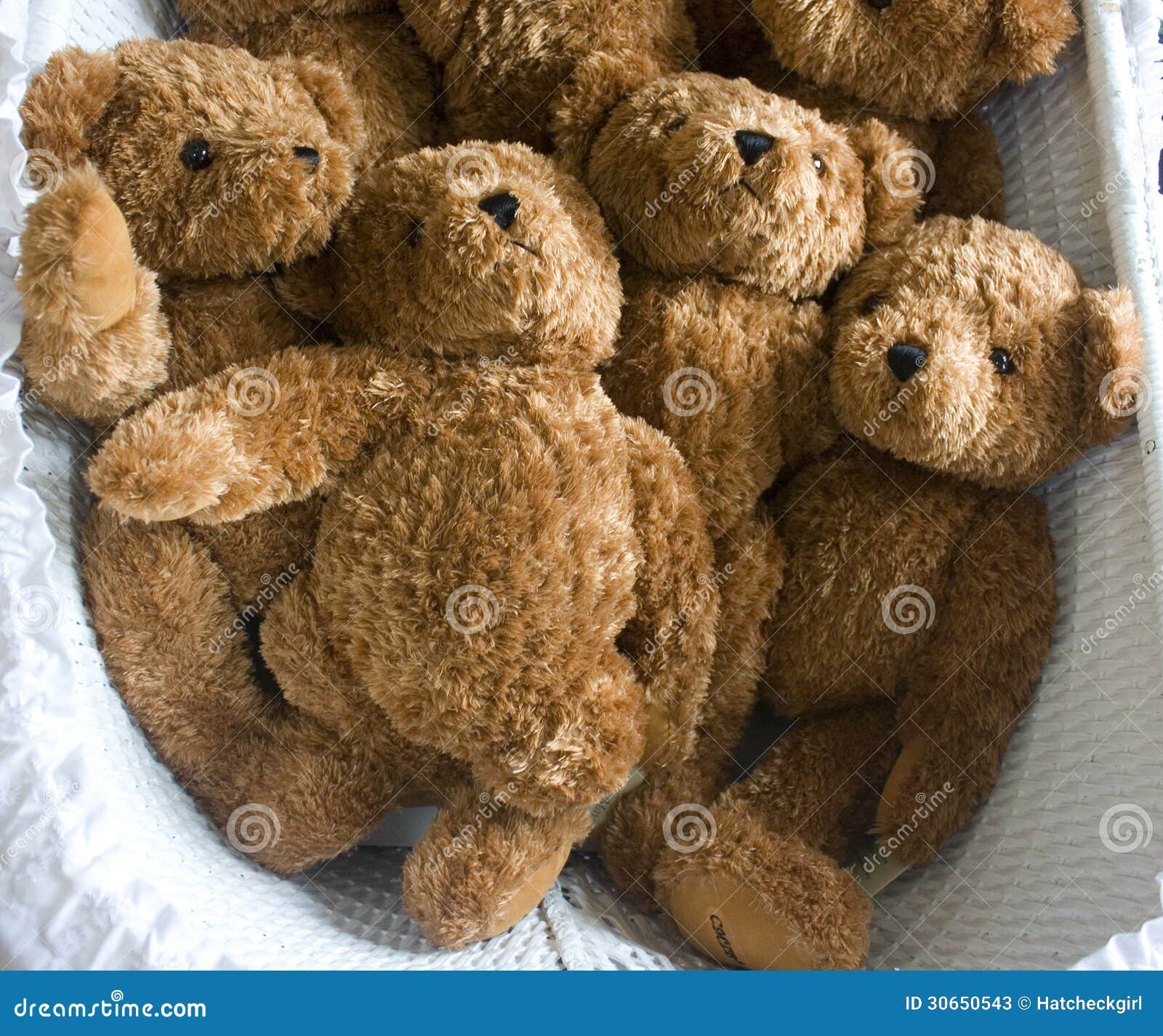 Teddies stock image. Image of childhood, three, friends - 30650543