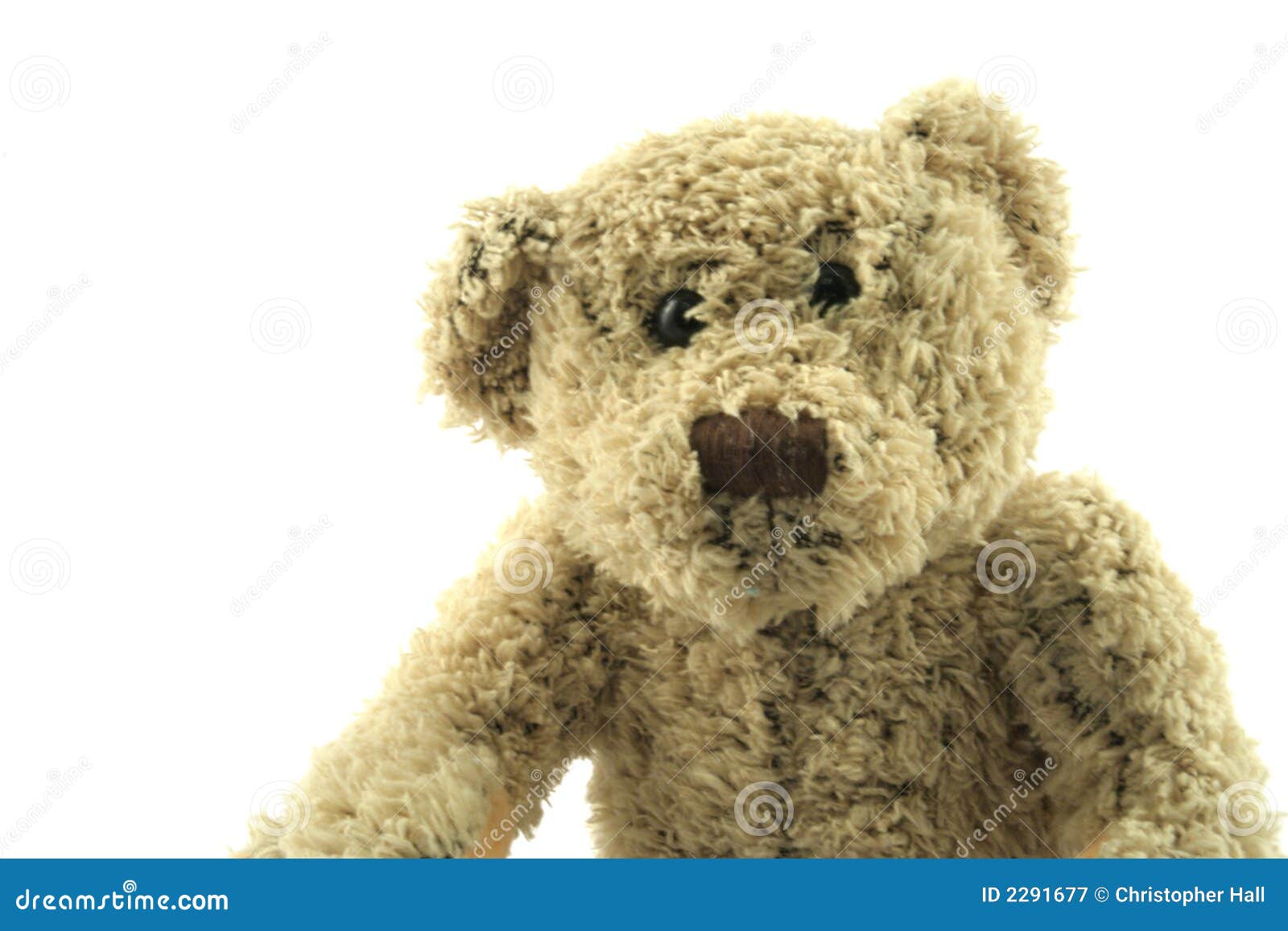 Teddy stock image. Image of background, love, fluffy, childhood - 2291677