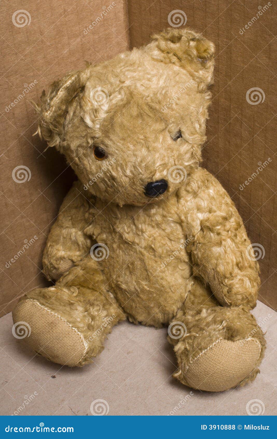 Teddy stock photo. Image of vintage, doll, disheveled - 3910888