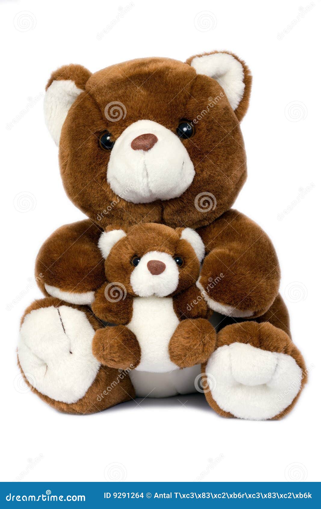 Teddy stock photo. Image of lucky, isolated, brown, games - 9291264