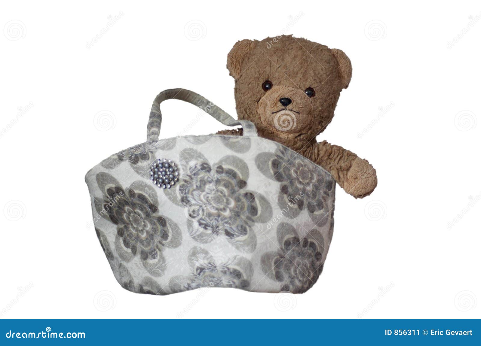 Teddy in the bag stock image. Image of white, youthful - 856311