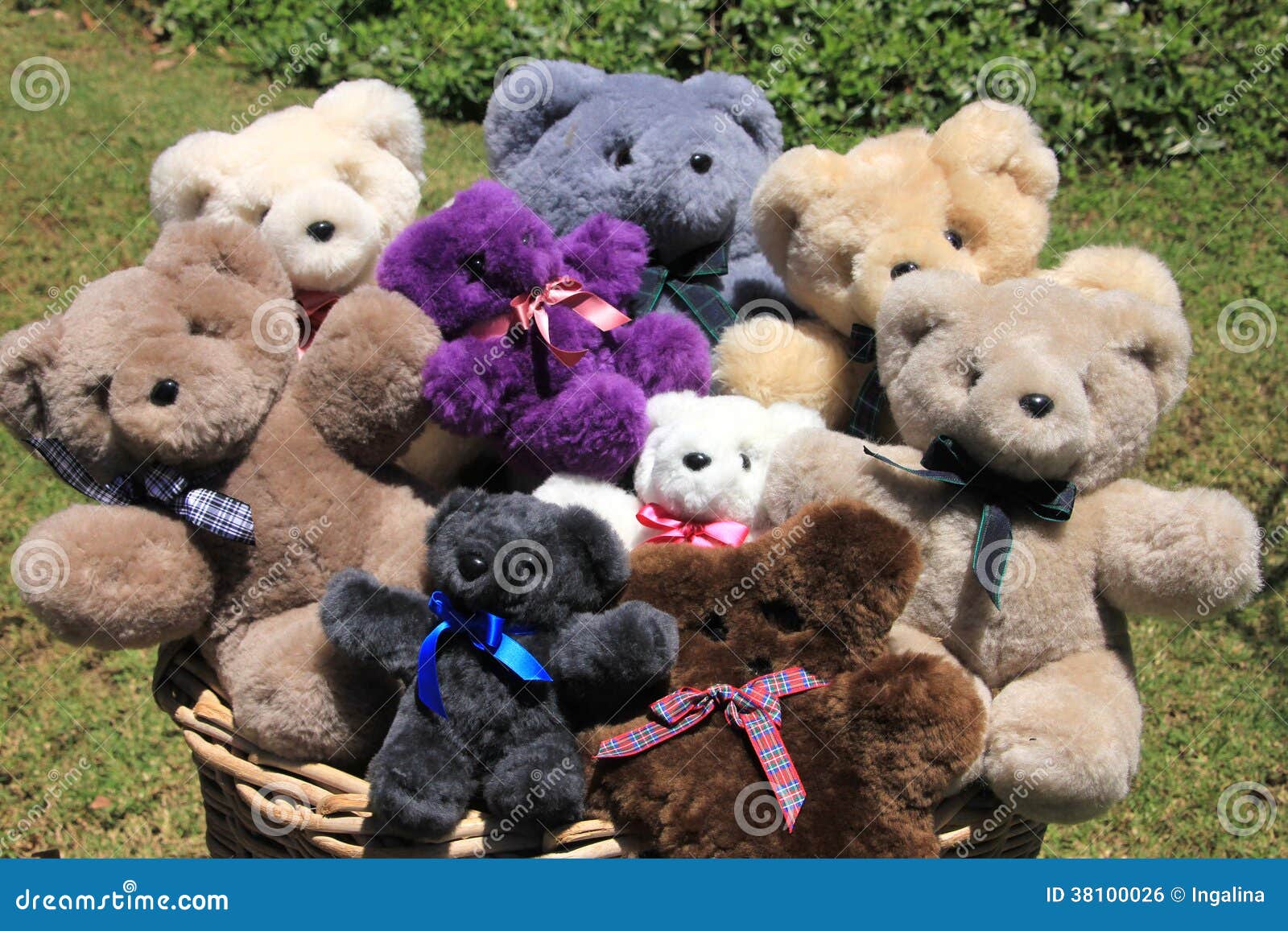 Teddy Basket stock photo. Image of sagenhaft, resplendent - 38100026