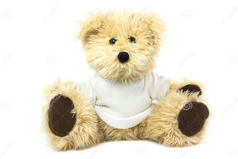 Teddy bear stock photo. Image of love, isolated, wearing - 11597090