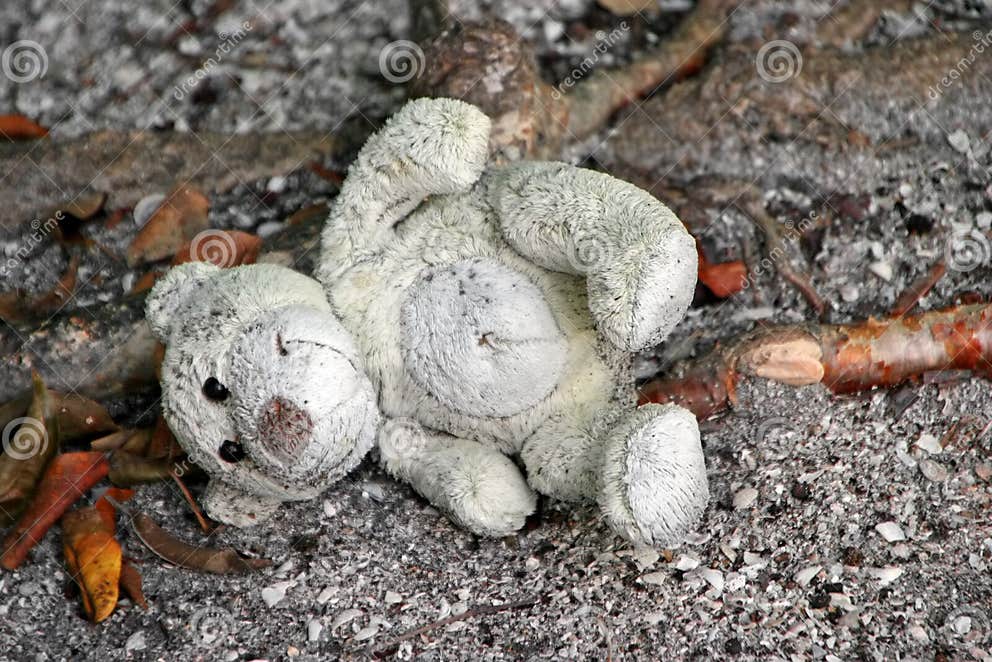 Teddy bear stock image. Image of bear, ground, discard - 12690811