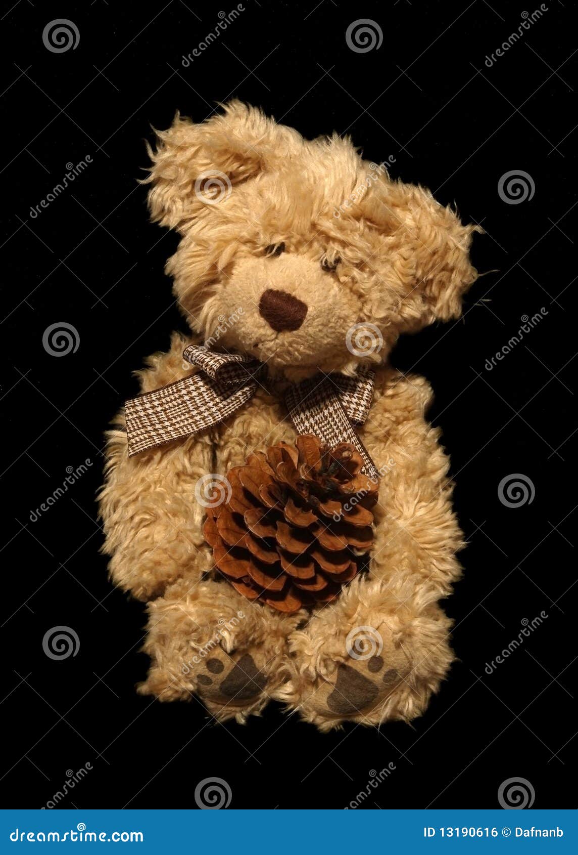 560 Toy Bear Cone Photos - Free & Royalty-Free Stock Photos from Dreamstime
