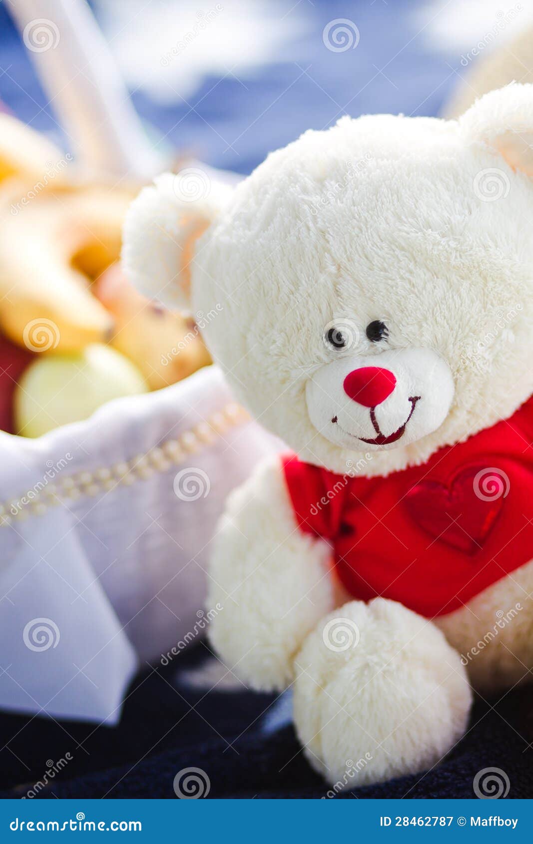 Teddy bear stock image. Image of love, nature, play, soft - 28462787