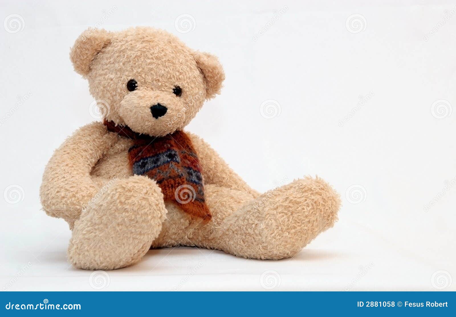 Teddy bear stock photo. Image of gift, bear, play, computer - 2881058