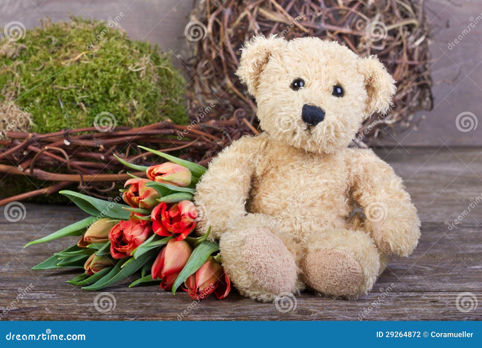 Teddy bear stock photo. Image of plush, mothers, spring - 29264872