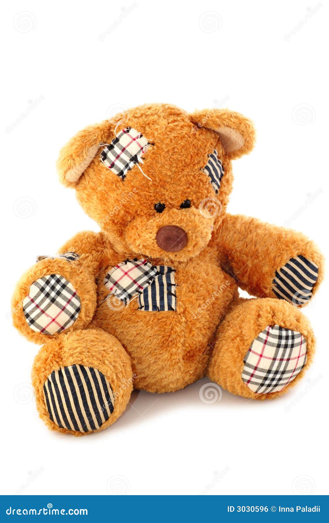 Teddy bear stock photo. Image of material, animal, objects - 3030596