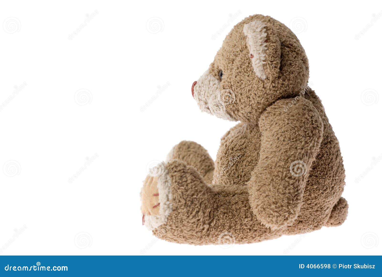 Teddy bear. stock photo. Image of teddy, sitting, funny - 4066598