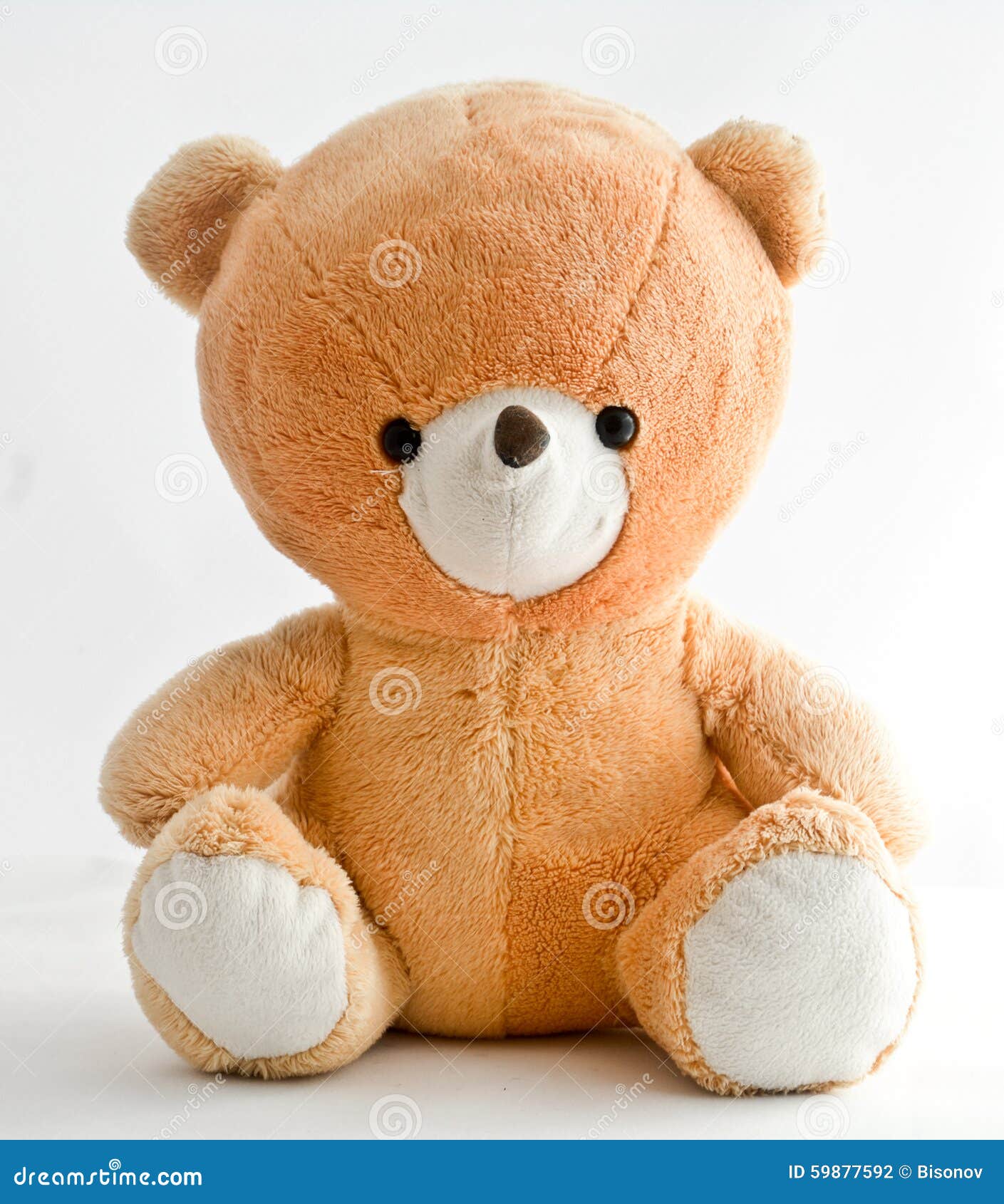 Teddy Bear stockfoto. Bild von voll, frontseite, bär - 59877592