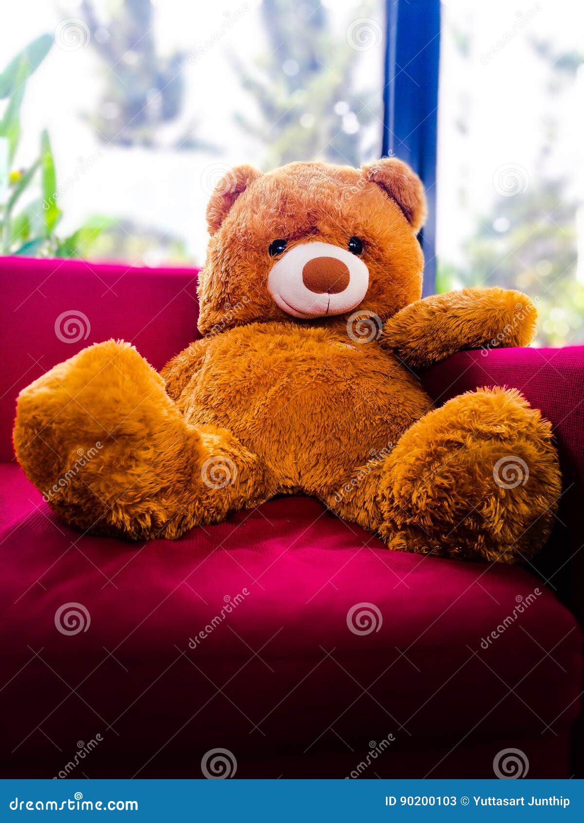 Teddy Bear imagen de archivo. Imagen de regalo, verano - 90200103