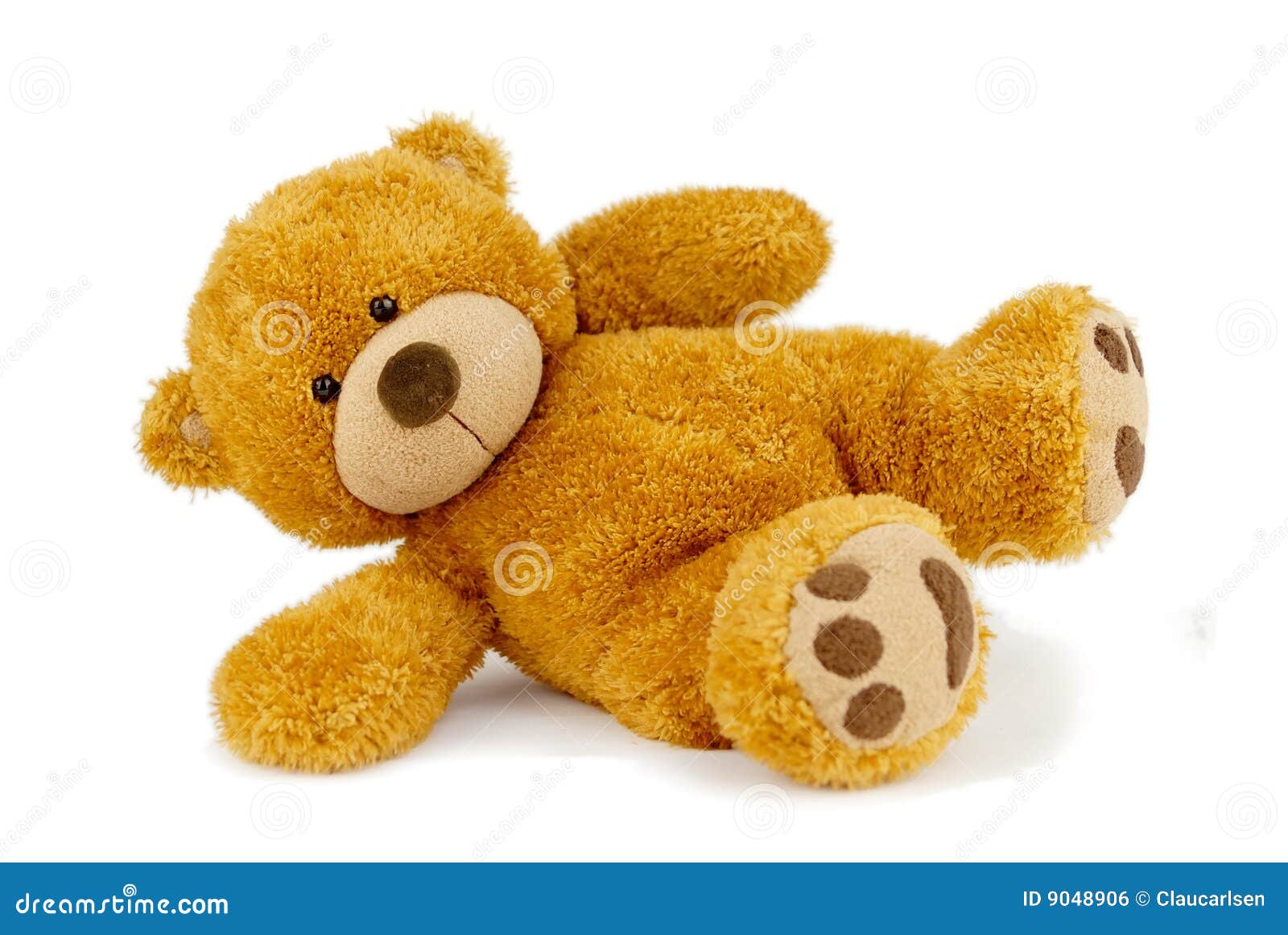 Teddy Bear Looking Looking Alive Night Sky Background Stock Image ...