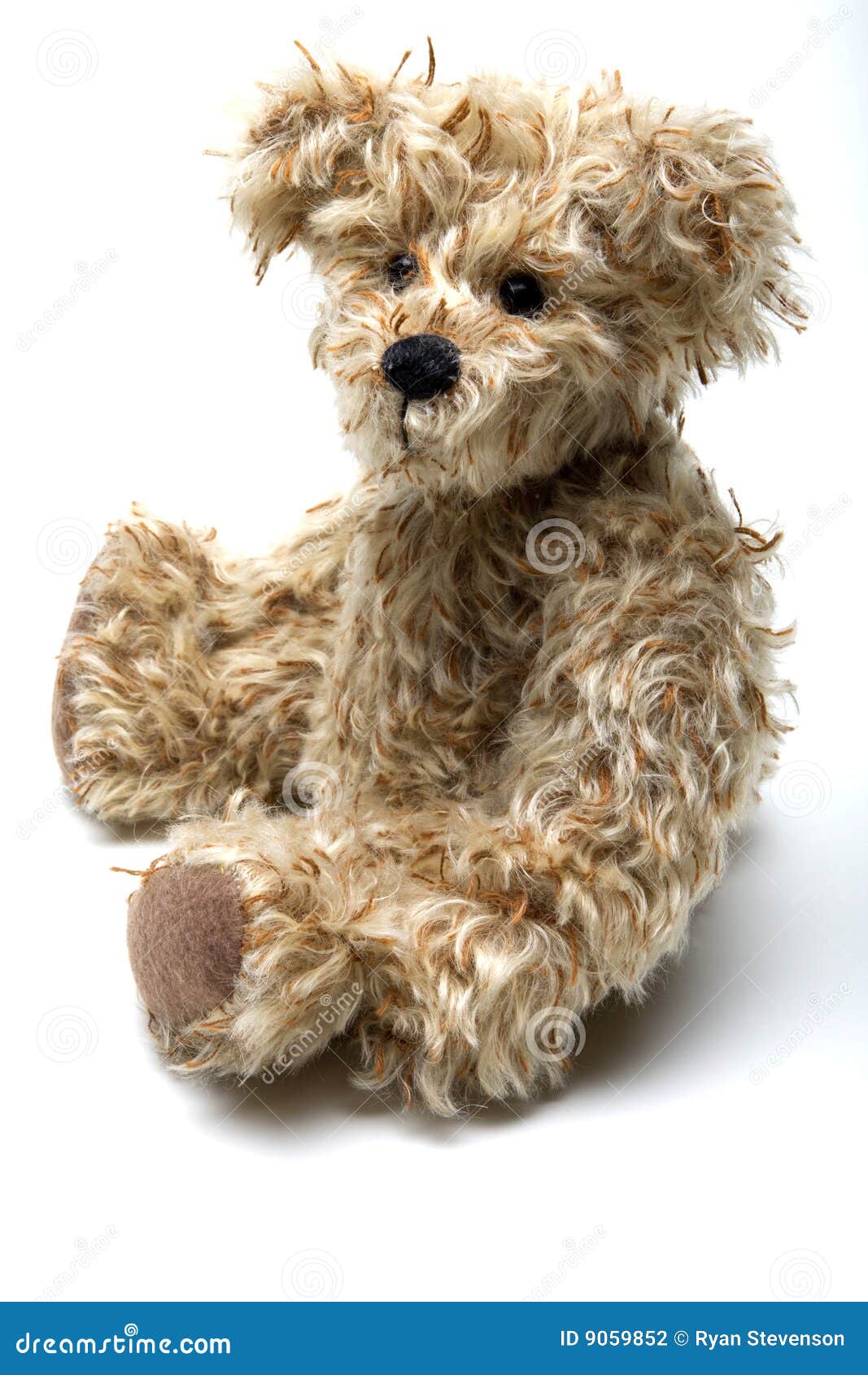 Teddy Bear stock photo. Image of animal, stuffed, cuddle - 9059852